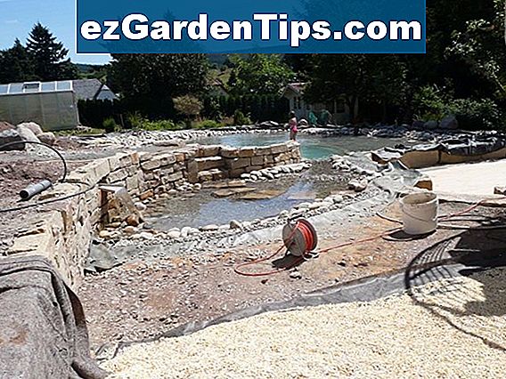 Wie man den pH im Beton prüft 🌱 Tipps Gärtner - De.ezGardenTips.com