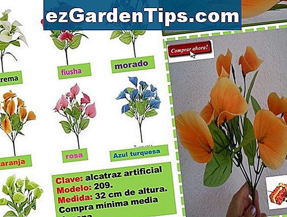 Lista de plantas ornamentales y flores 🌱 Tips Jardineros - Es ...