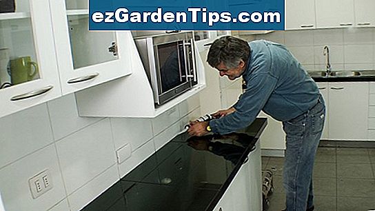 Cómo reparar los bordes del paisaje con escarcha 🌱 Tips Jardineros - Es ...
