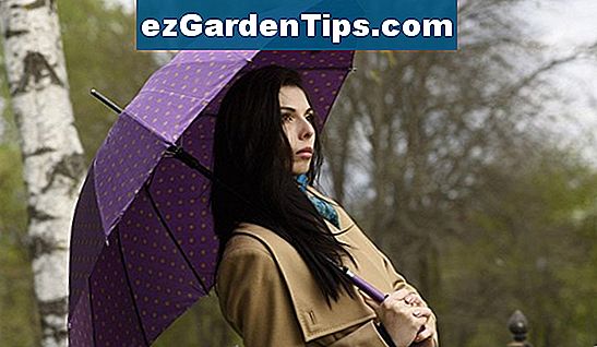 Qu Tipo De Clima Necesita Un rbol De Granada Tips Jardineros Es qu-tipo-de-clima-necesita-un-rbol-de-granada-tips-jardineros-es