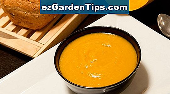 Liste des légumineuses asiatiques 🌱 Conseils Jardiniers - Fr ...