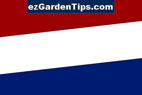 Faktai apie Azijos augalus 🌱 Patarimai Sodininkams - Lt.ezGardenTips.com