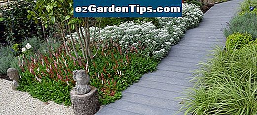 Welke soorten gras groeien het beste in de volle zon? 🌱 Tips Tuinders ...