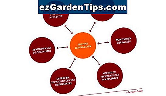 Wat zijn vier kenmerken van zaadplanten? 🌱 Tips Tuinders - Nl ...
