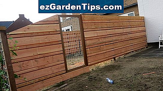 Soorten betonnen gaas 🌱 Tips Tuinders - Nl.ezGardenTips.com
