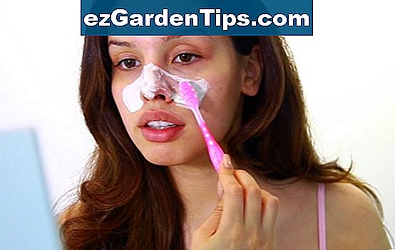 Nume de flori negre 🌱 Sfaturi Grădinari - Ro.ezGardenTips.com