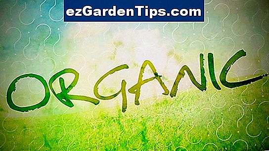 Ce este solul organic? 🌱 Sfaturi Grădinari - Ro.ezGardenTips.com