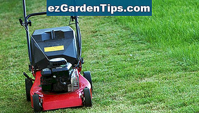 Comment vérifier la compression sur un moteur de tondeuse à gazon 🌱 ...