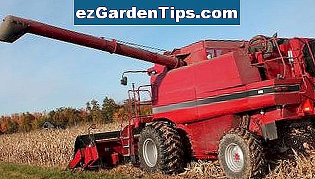 Comment les moissonneuses récoltent le maïs? 🌱 Conseils Jardiniers - Fr ...
