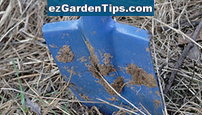 Comment ajouter de la mousse de tourbe au sol argileux 🌱 Conseils ...