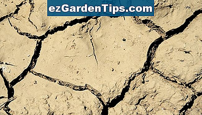 Cómo hacer que el suelo arcilloso sea productivo y fértil 🌱 Tips ...
