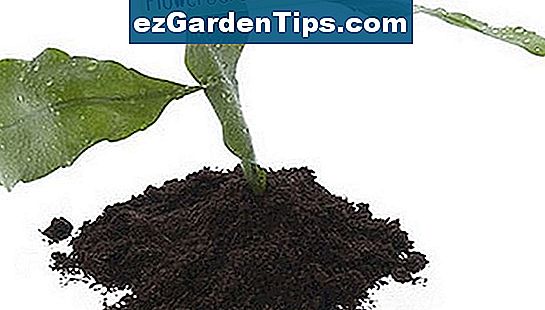 Het belang van verschillende soorten grond 🌱 Tips Tuinders - Nl ...