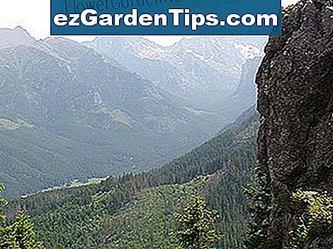 Types de sols de montagne 🌱 Conseils Jardiniers - Fr.ezGardenTips.com