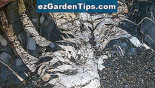 Types de structures de sol 🌱 Conseils Jardiniers - Fr.ezGardenTips.com
