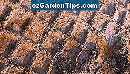 Welche Arten von Boden sind in Kentucky gefunden? 🌱 Tipps Gärtner - De ...