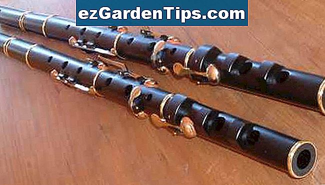 Comment construire une flûte en bois 🌱 Conseils Jardiniers - Fr ...