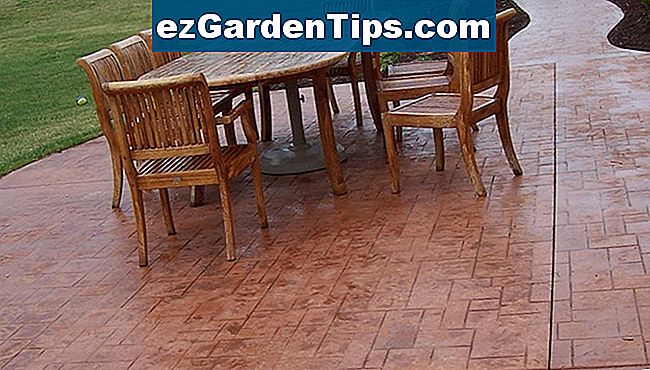 Cómo diseñar un patio de concreto estampado 🌱 Tips Jardineros - Es ...