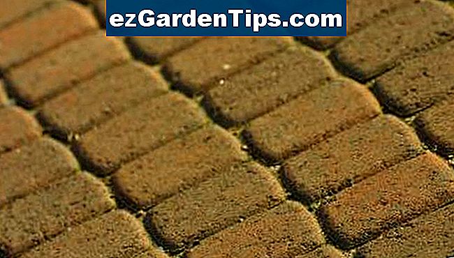 Como pavimentar um quintal 🌱 Dicas Jardineiros - Pt.ezGardenTips.com