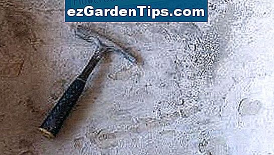 Wie man den pH im Beton prüft 🌱 Tipps Gärtner - De.ezGardenTips.com